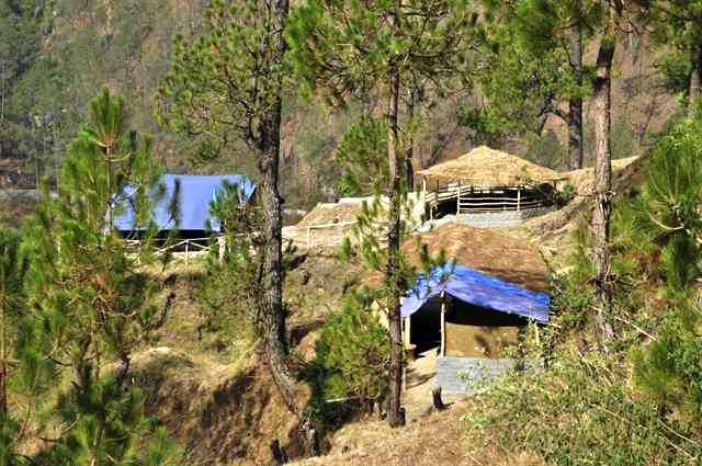 Back to Nature camp,Bhimtal:Photos,Reviews,Deals