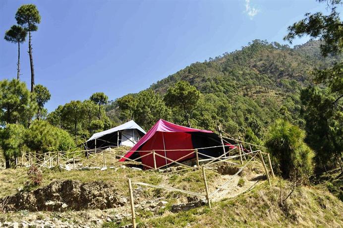 Back to Nature camp,Bhimtal:Photos,Reviews,Deals