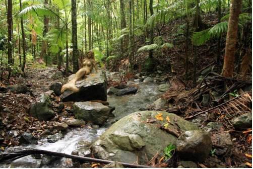 Rainforest Hideaway,Daintree Rainforest:Photos,Reviews,Deals