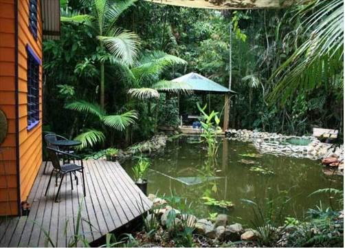 Rainforest Hideaway,Daintree Rainforest:Photos,Reviews,Deals