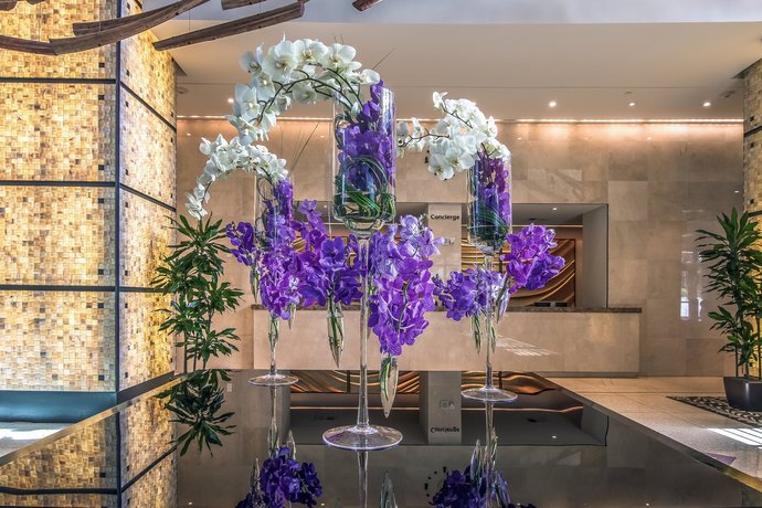 Carillon Miami Wellness Resort, Miami Beach - Compare Deals