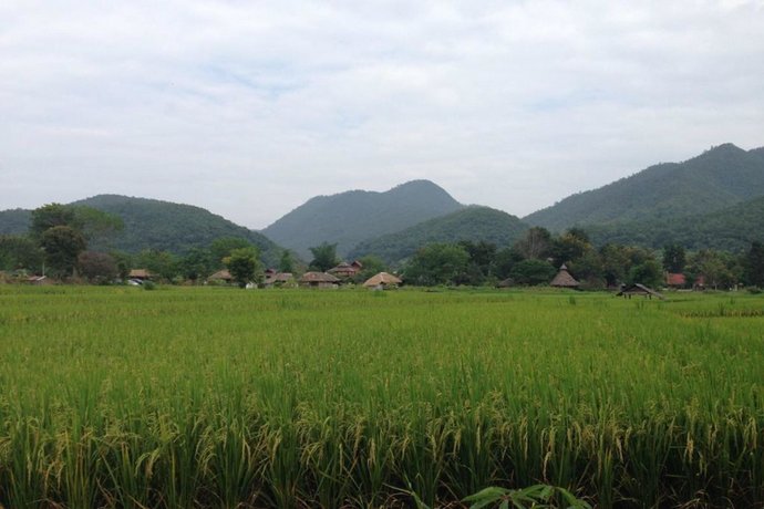 Pai Chan Cottage & Cuisine - Compare Deals