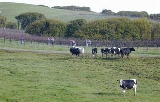Point Reyes Vineyard Inn,Point Reyes National Seashore:Photos,Reviews,Deals