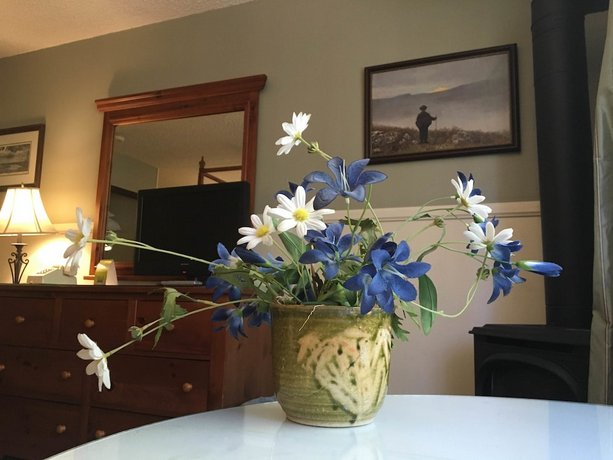 Cinnamon Bear Inn,Mammoth Lakes:Photos,Reviews,Deals