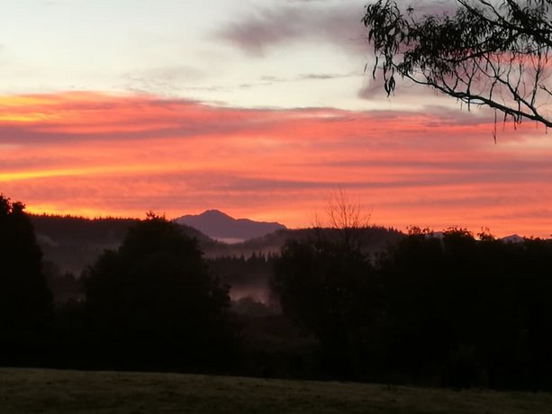 Awatuna Homestead,Hokitika:Photos,Reviews,Deals
