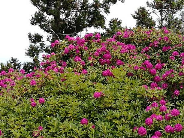 Awatuna Homestead,Hokitika:Photos,Reviews,Deals